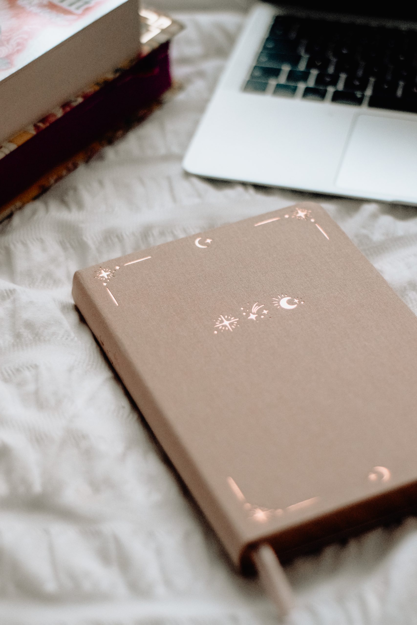 My 2023 Bullet Journal · Daisybutter