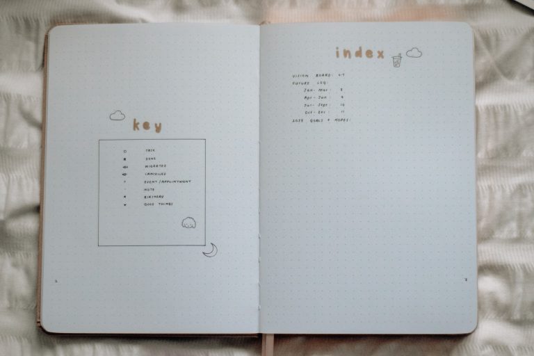 My 2023 Bullet Journal · Daisybutter