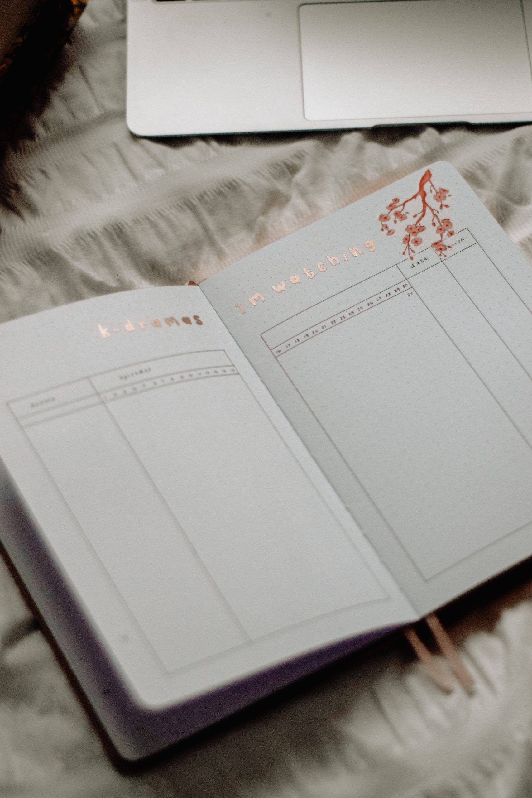 My 2023 Bullet Journal · Daisybutter